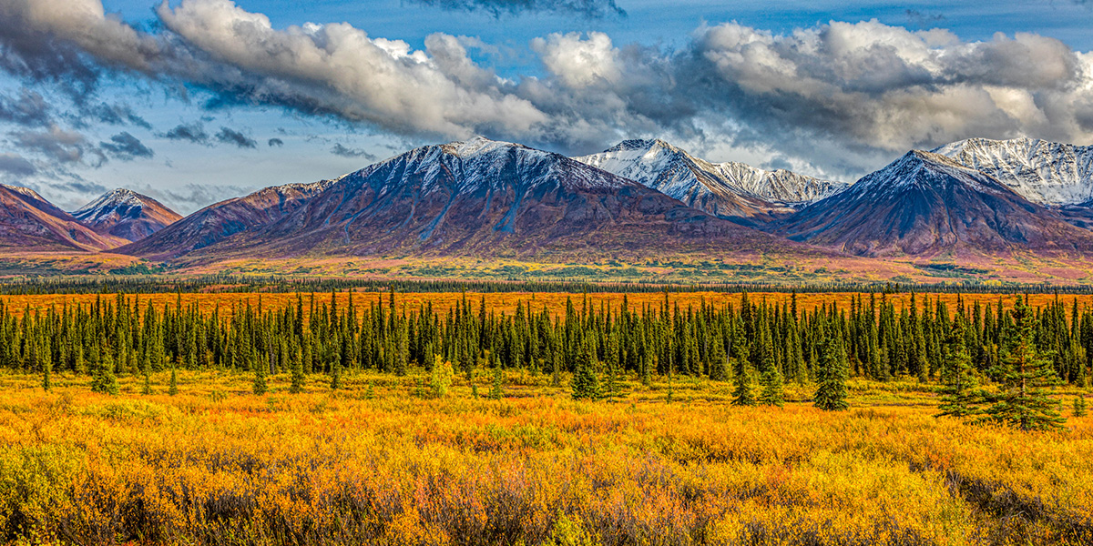 Access Denied: BLM To Revoke 2021 Public Land Orders, Keep Alaska Lands ...